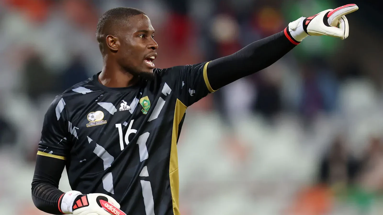 Golden Arrows to bolster goalkeeping ranks with Siwelele star | soccer