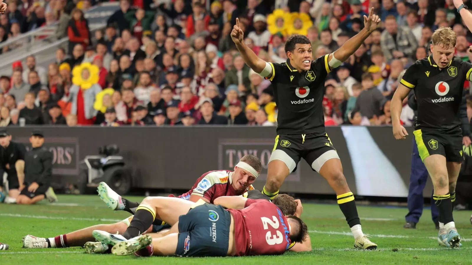 Wales edge Reds in Brisbane thriller to end losing streak | rugby