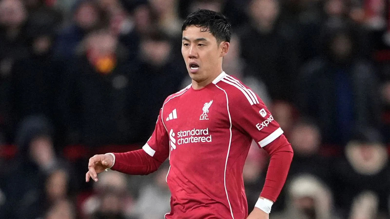 Wataru Endo ends Japan career after forced World Cup injury withdrawal ...