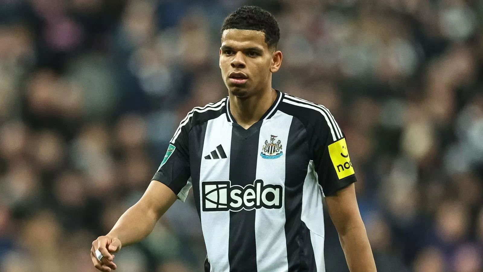 Callum Wilson's injury opens door for William Osula at Newcastle | soccer